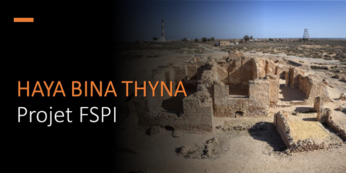 Haya Bina Thyna (FSPI) - IRMC